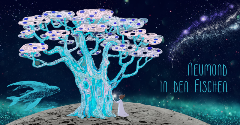 Neumond schenkt eine grandiose Mondphase - 20. Februar 2023